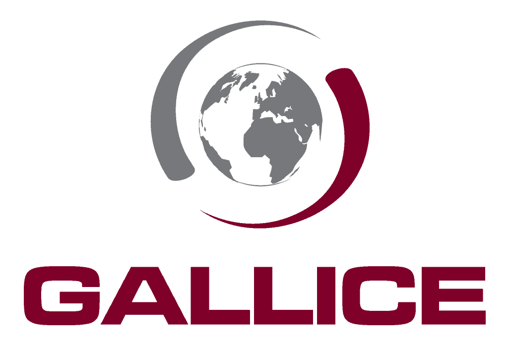 modèle landing capture leads - GALLICE international